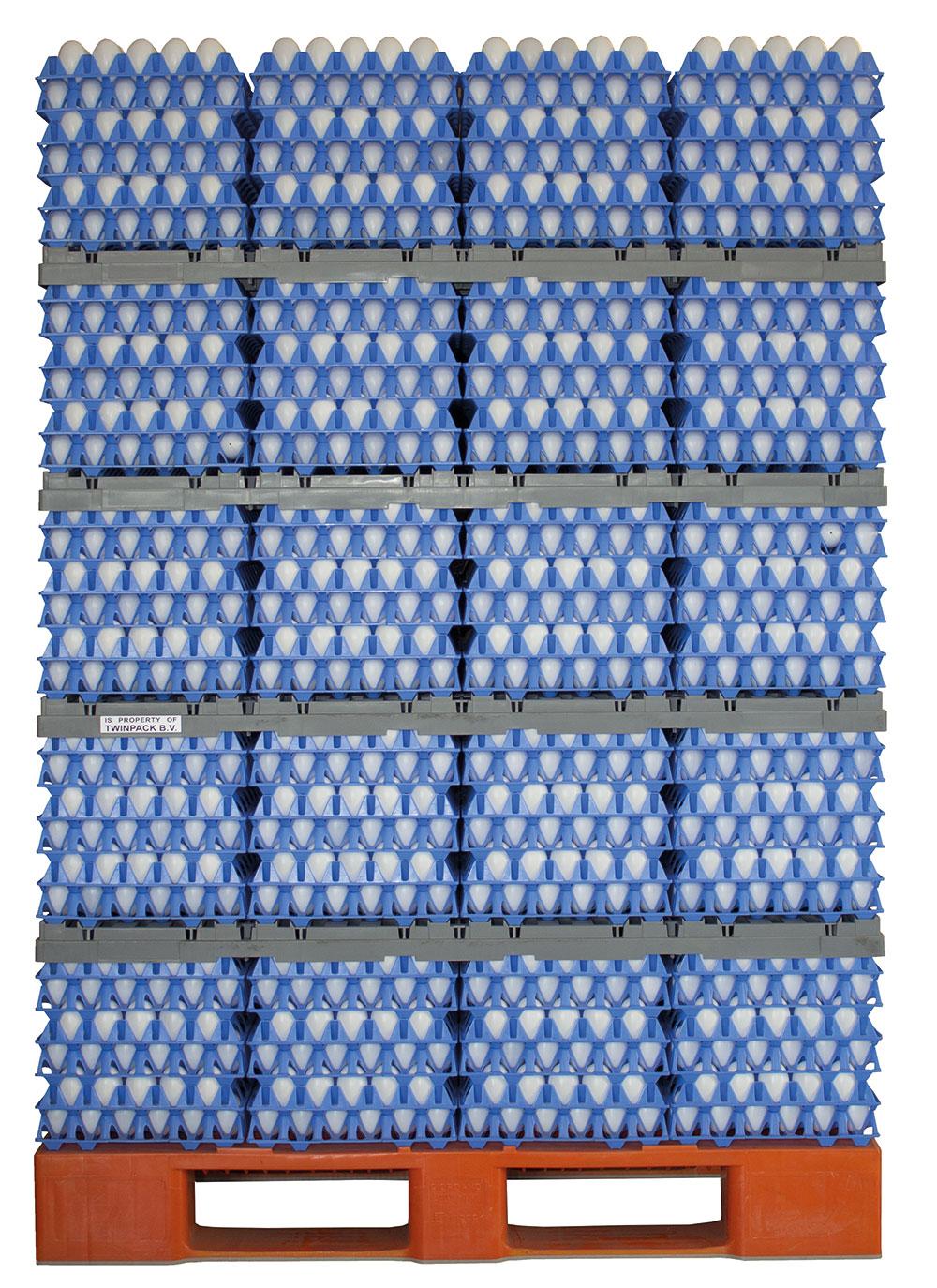 Eggs Handling - Eddygyptgiordano
